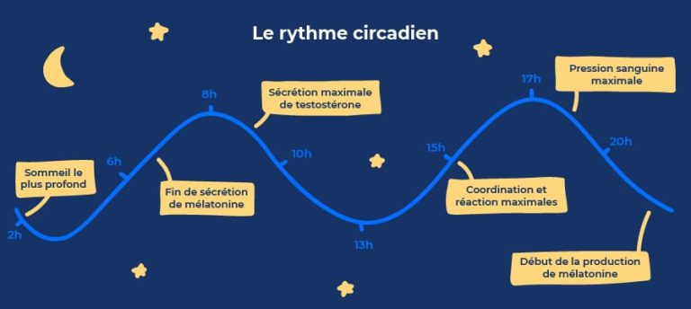 Le rythme circadien : définition - Le Mag du Sommeil